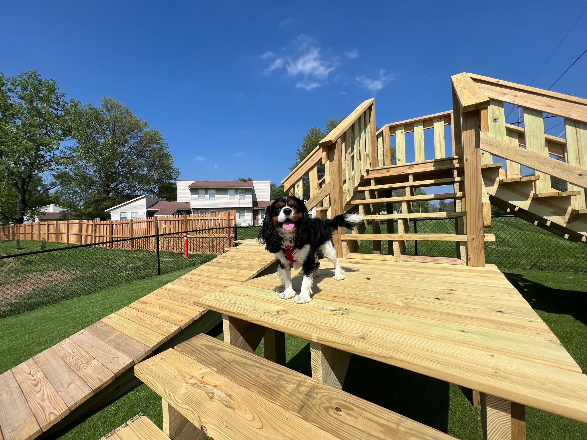 Kansas City Carpenters Complete Veteran Pet Park – Mid-America ...