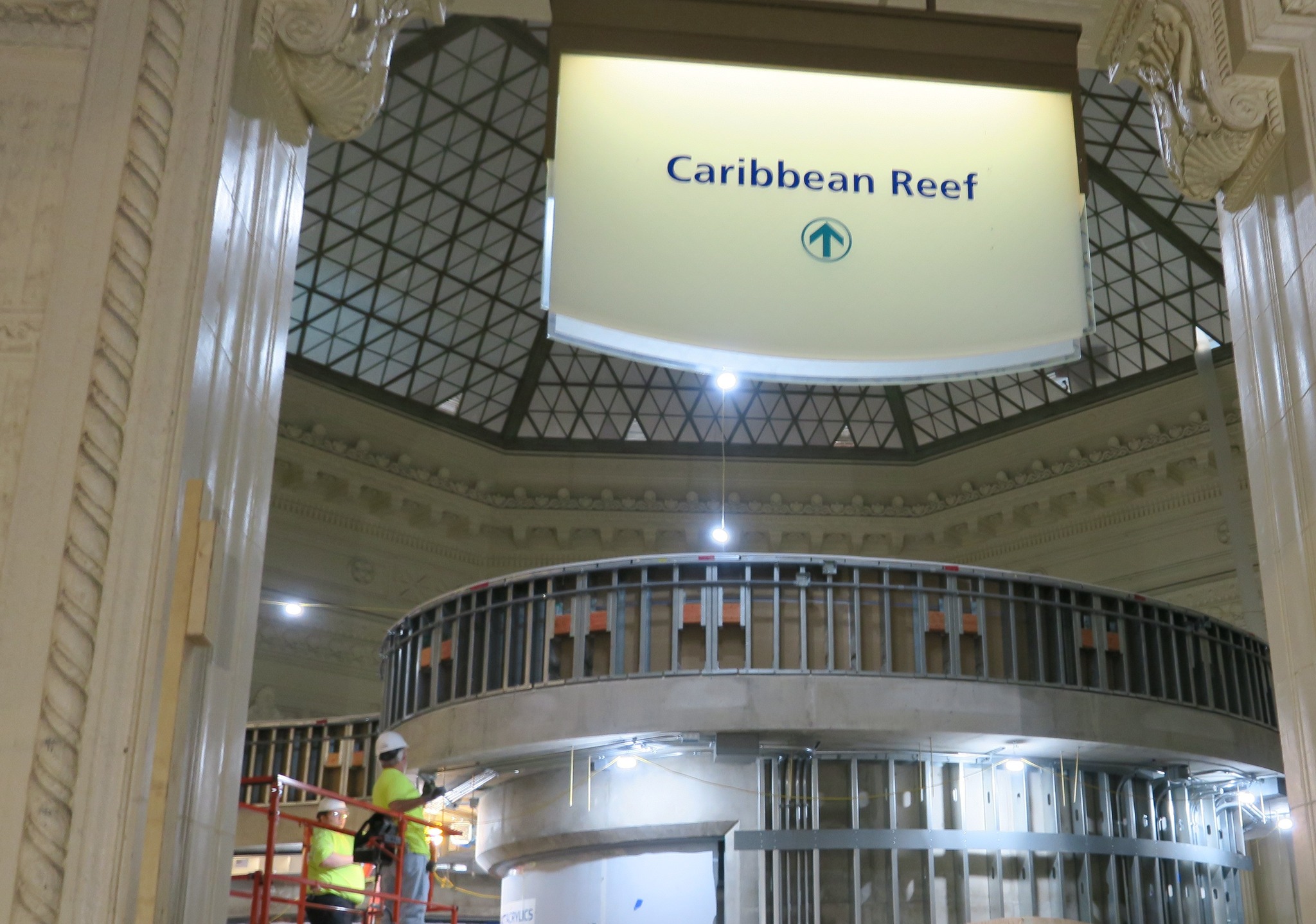Union Carpenters Working On Shedd Aquarium Renovation – Mid-America ...
